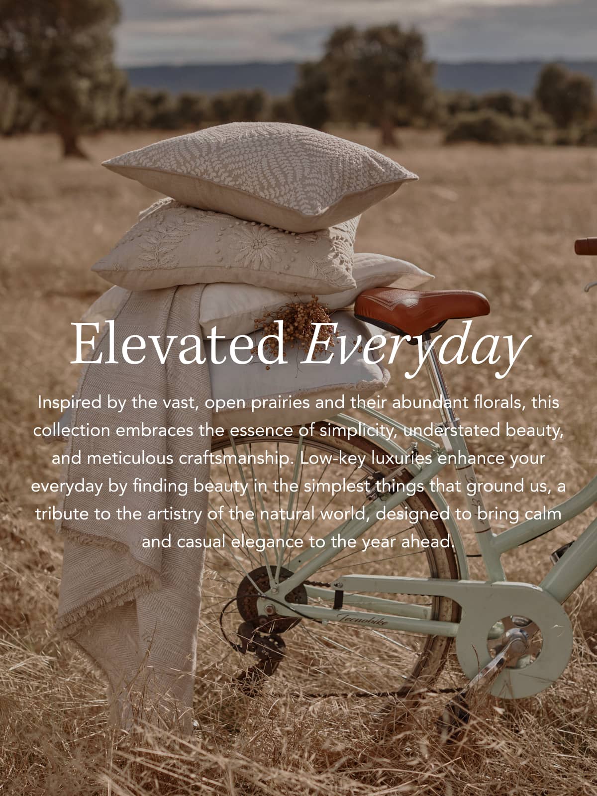 Get Inspired: Elevated Everyday